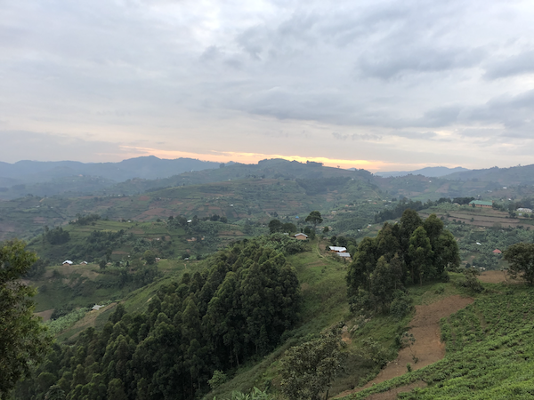 The Mighty Silverbacks of Uganda: How To Find Them - I am Lost and Found