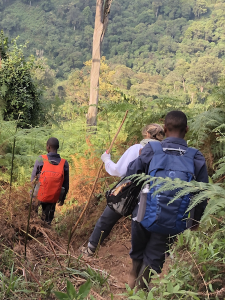 The Mighty Silverbacks of Uganda: How To Find Them - I am Lost and Found